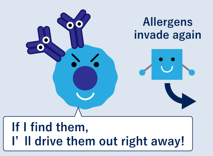 What is Allergy? - Consulting business for improving indoor environment ...